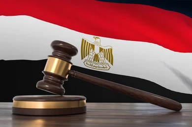 Updated Laws - HPA - Egypt